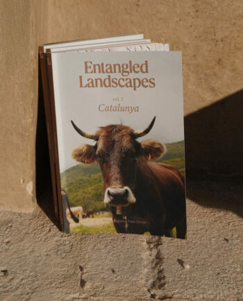 Shop – ILOVEPAPERCO